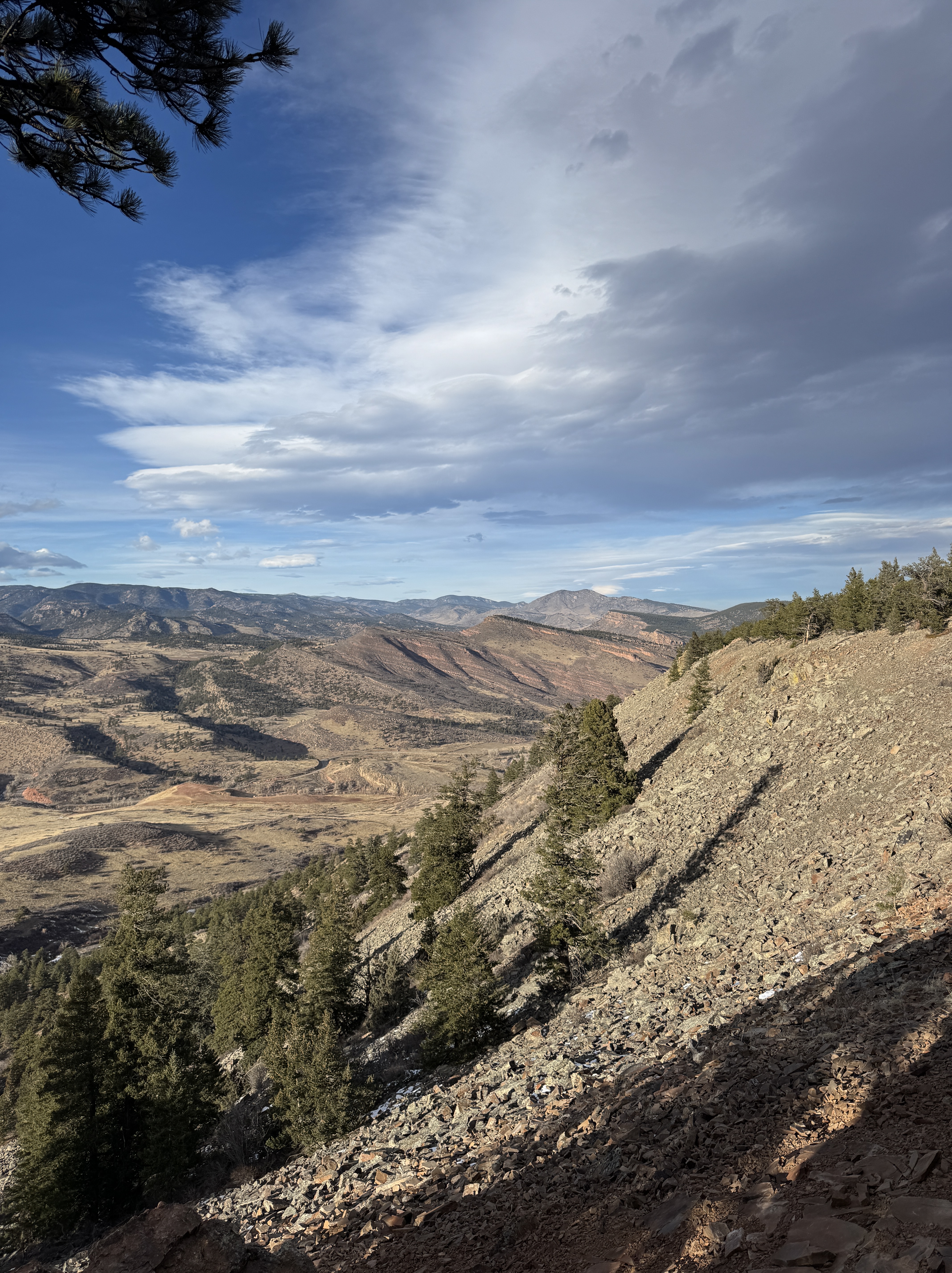 References and Sources | Colorado Lichens and Friends